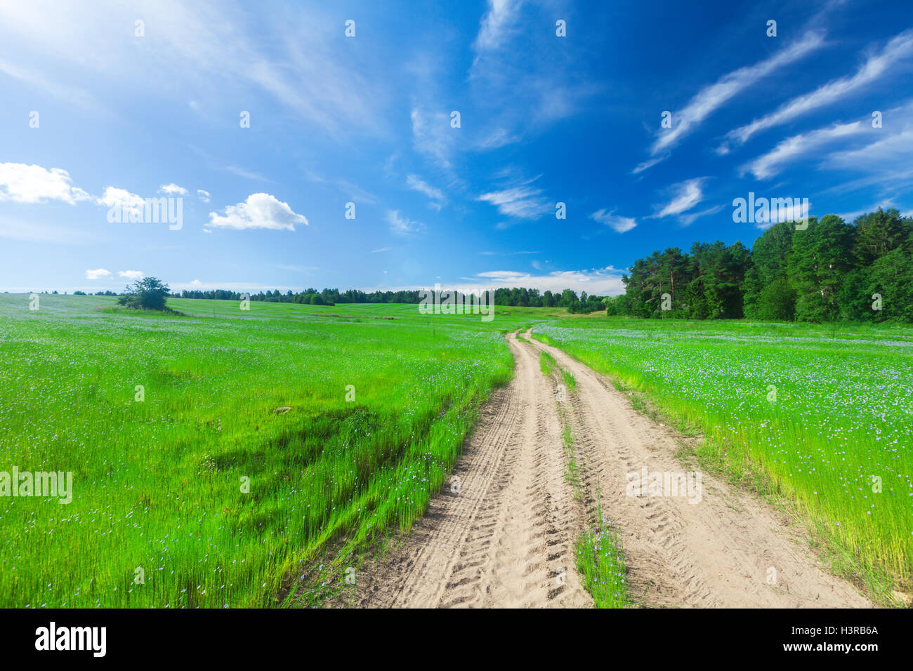 Beautiful field field hi-res stock photography and images - Alamy