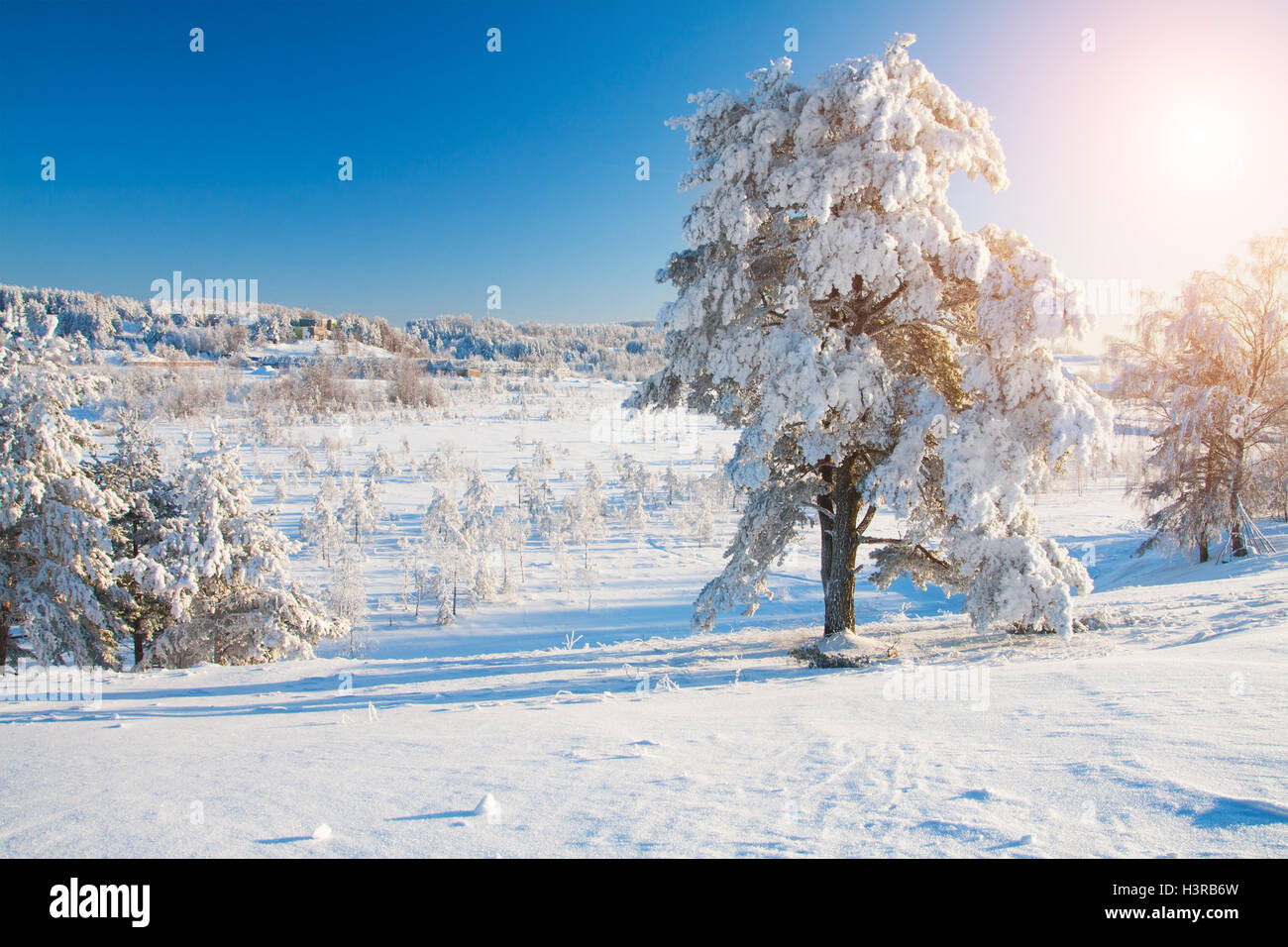 Winter park in snow Stock Photo - Alamy