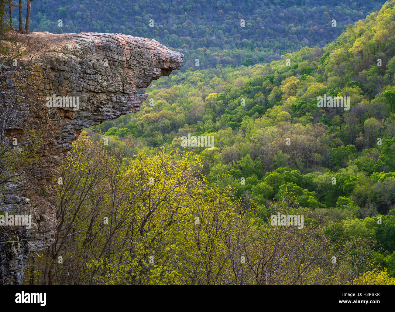 Upper Buffalo Wilderness Area, Arkansas: Hawksbill Crag, an outcrop on ...