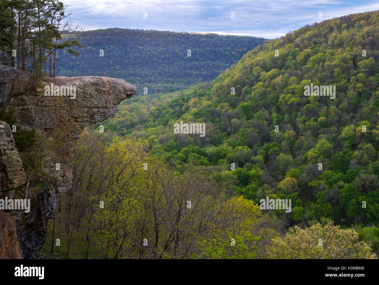 Upper Buffalo Wilderness Area, Arkansas: Hawksbill Crag, an outcrop on ...