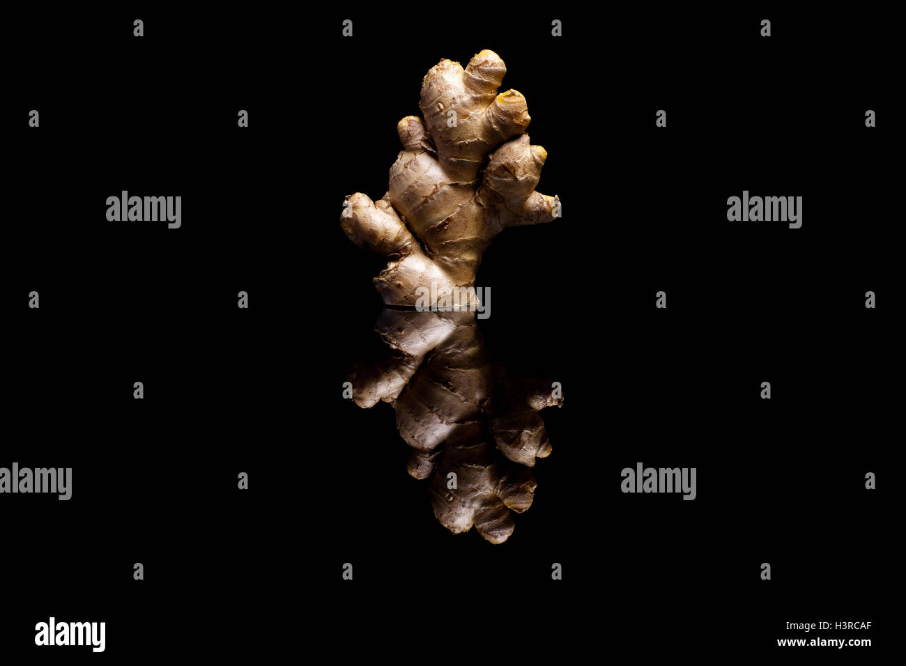 Standing ginger isolated on black reflective background Stock Photo - Alamy
