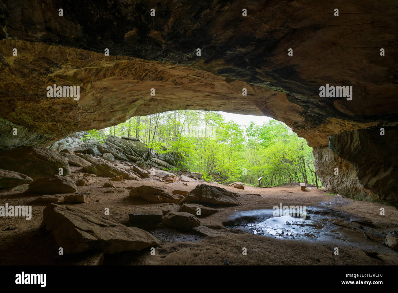 Arkansas cave ozark hi-res stock photography and images - Alamy