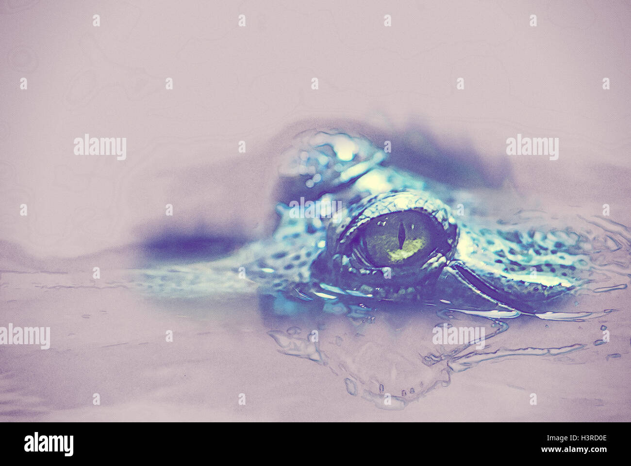 Indian gharials hi-res stock photography and images - Alamy
