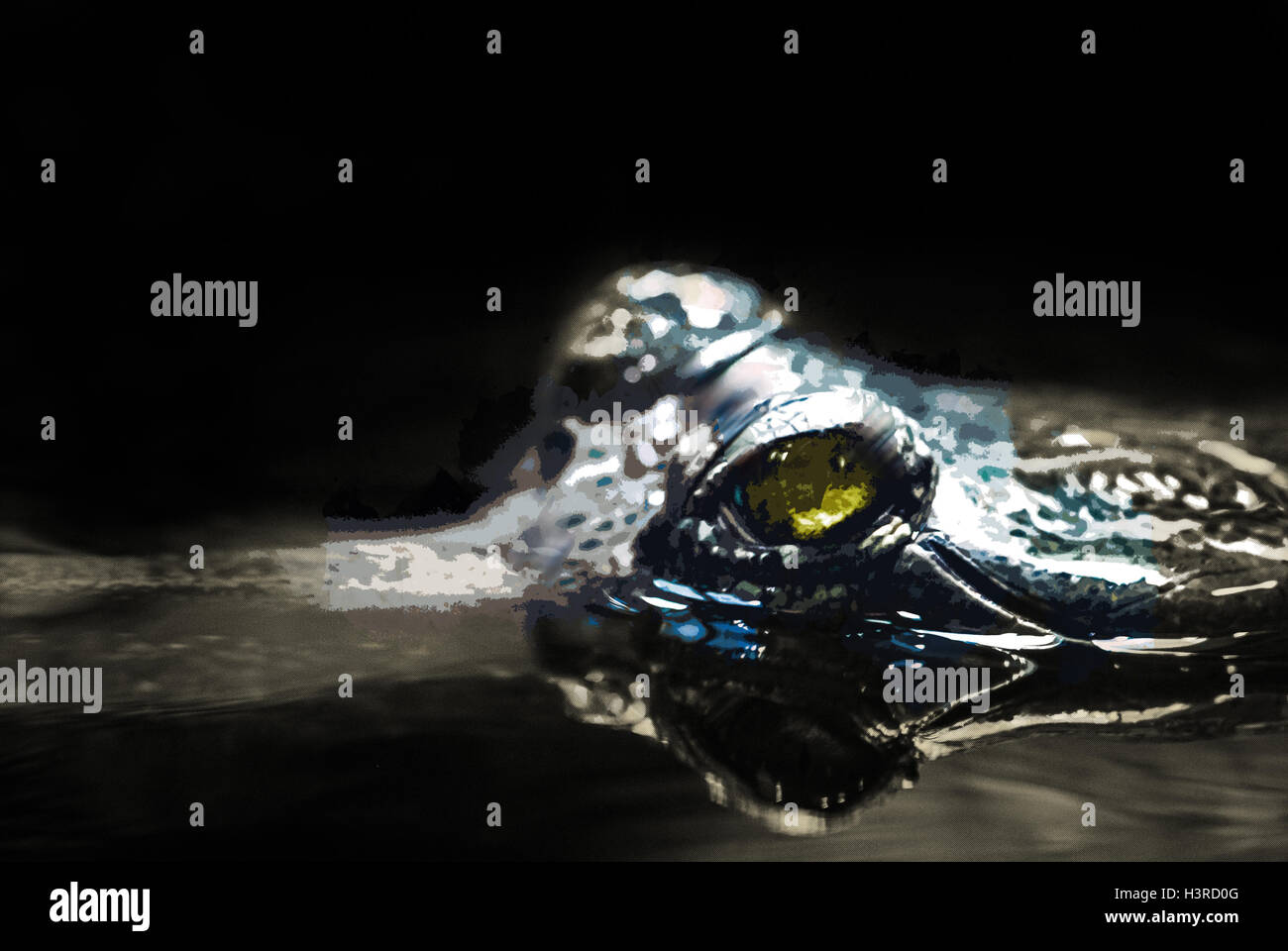 Indian gharials hi-res stock photography and images - Alamy