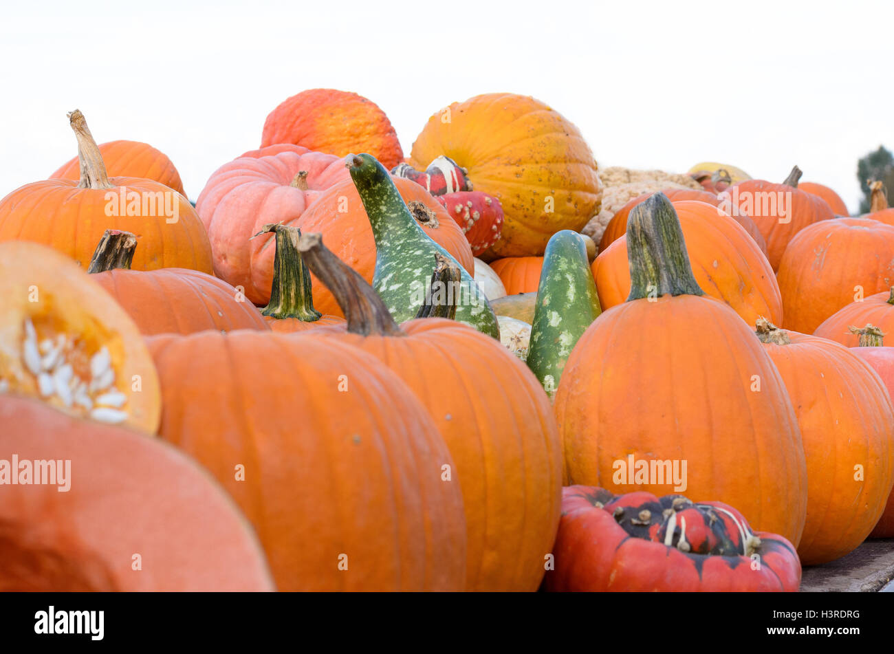 Assorted pumpkins of different sizes and colors for sale at a farmers ...