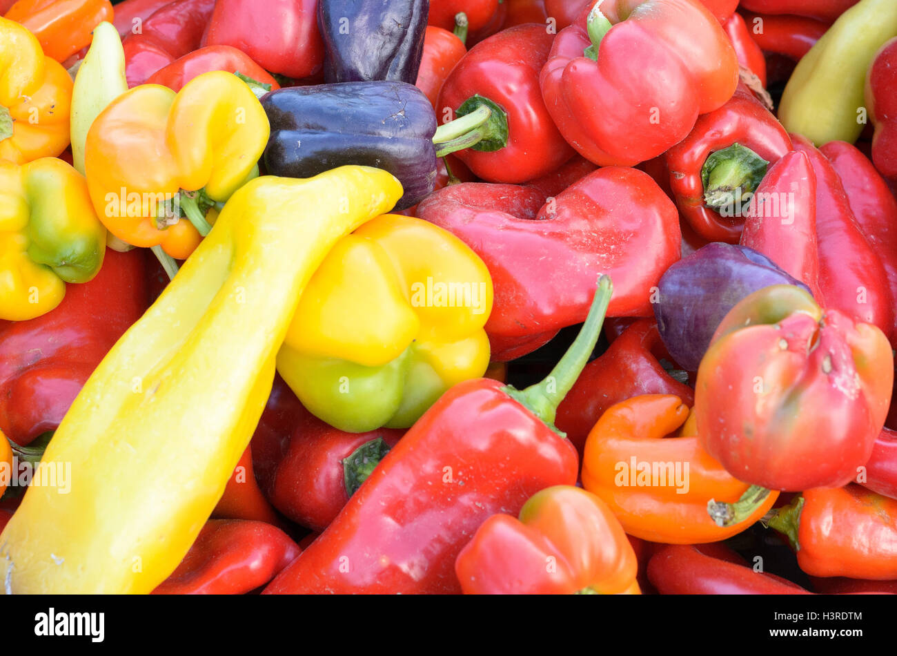 Assorted colors of sweet bell peppers on display at market with red ...