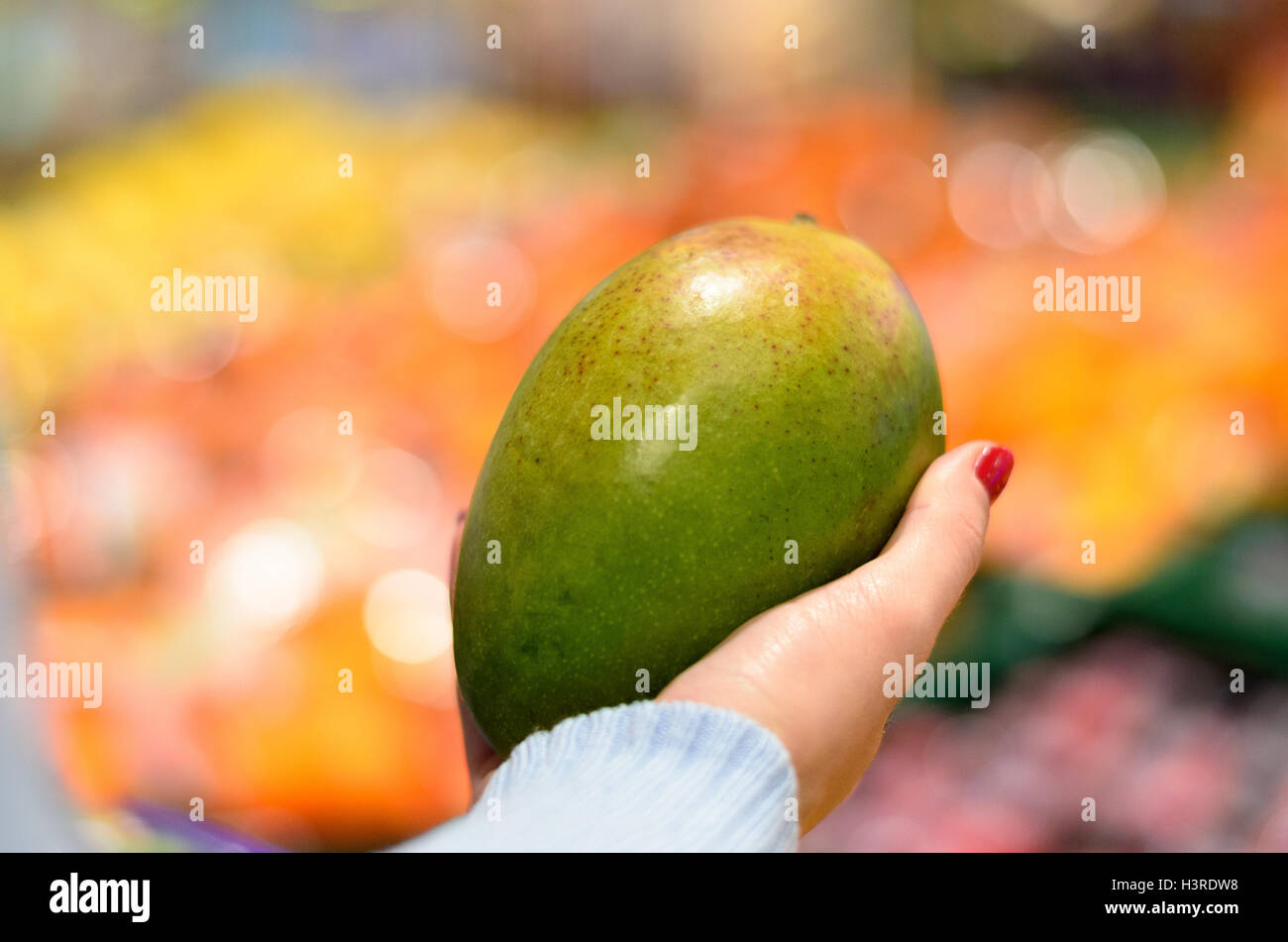 Person selecting a fresh mango to purchase in a supermarket, close up ...