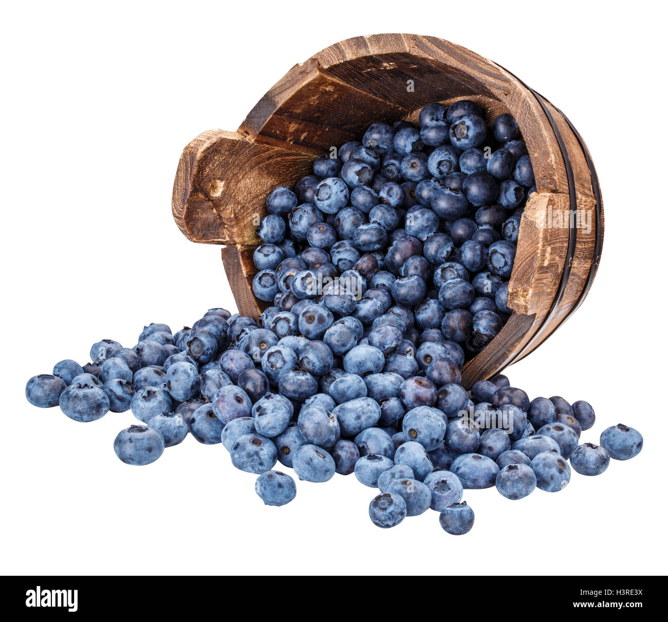 blueberries in wooden tub oisolated in white background clipping path ...