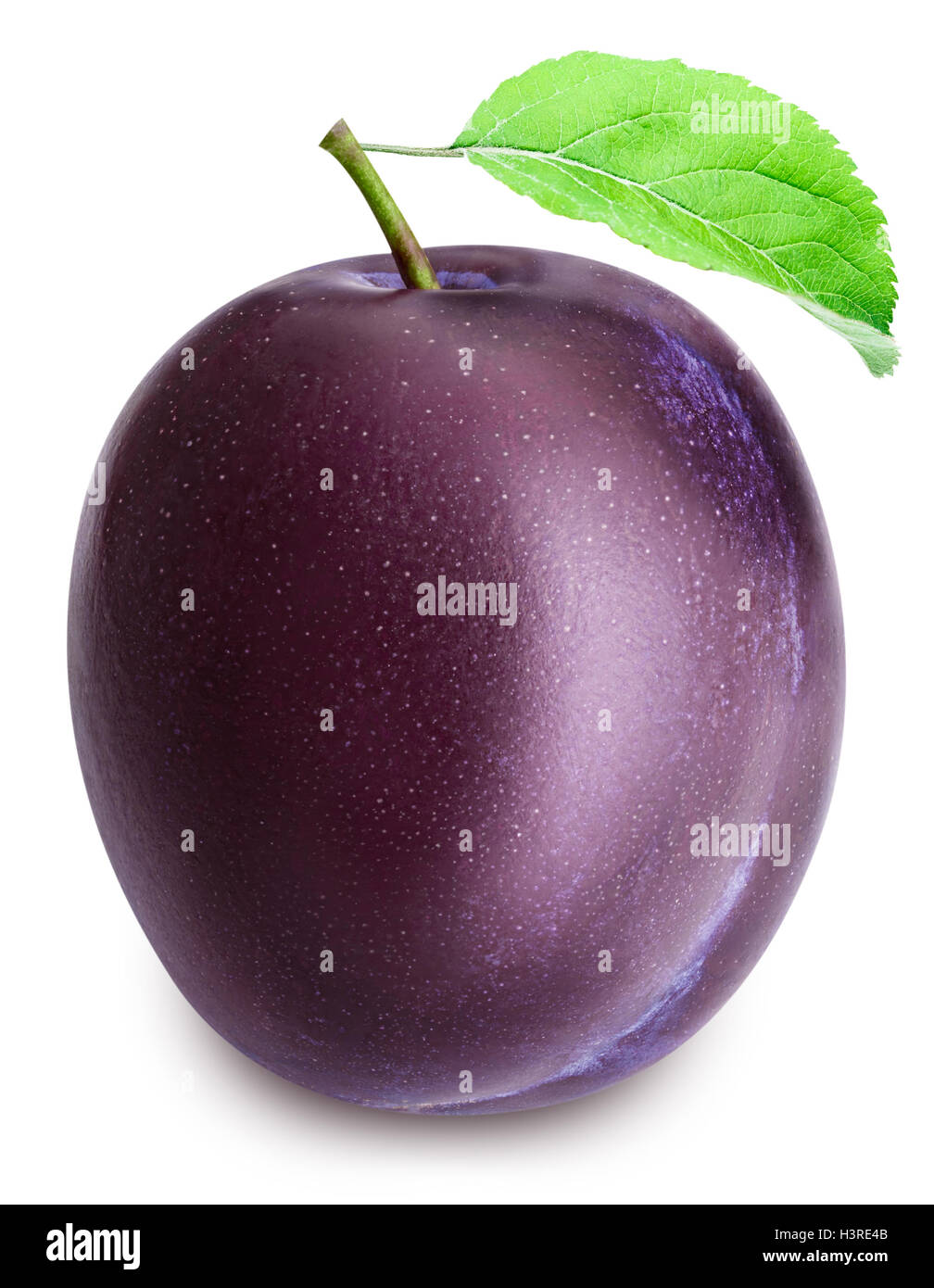 Plum isolated with clippin path Stock Photo - Alamy