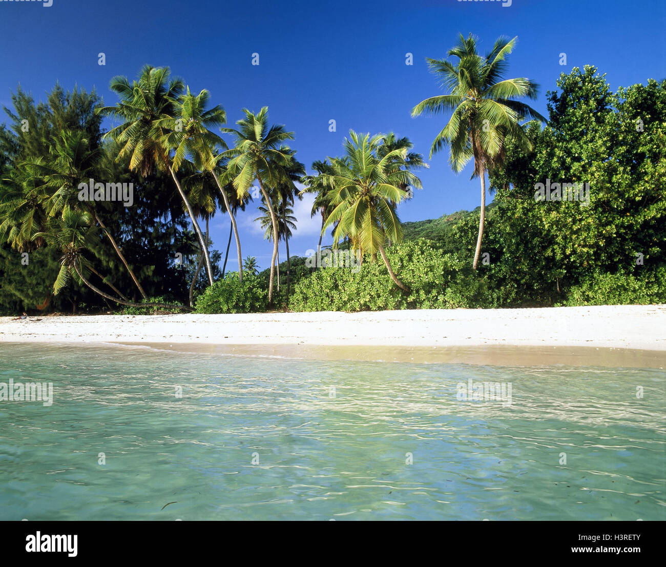 The Seychelles, palm beach, sea, island, Indian ocean, vegetation ...