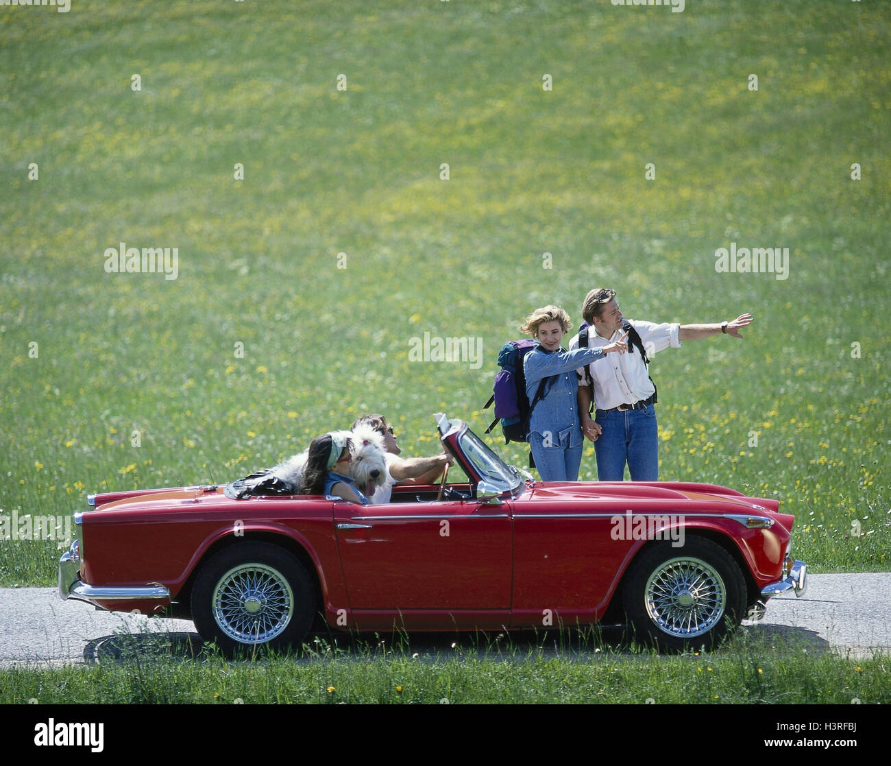 Dog walk car country hi-res stock photography and images - Alamy