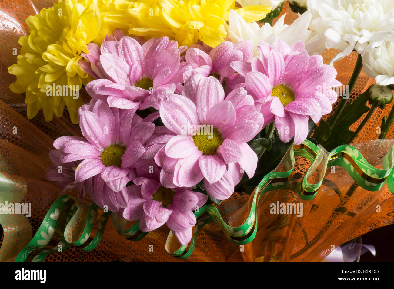 Natural colour hi-res stock photography and images - Alamy