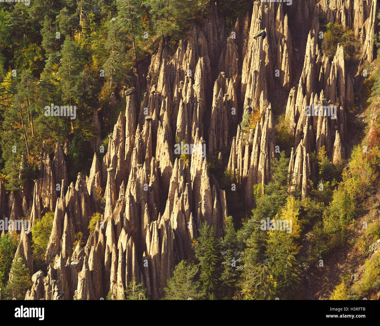 Italy, South Tyrol, earth pyramids in the ride, earth pyramids, wood ...