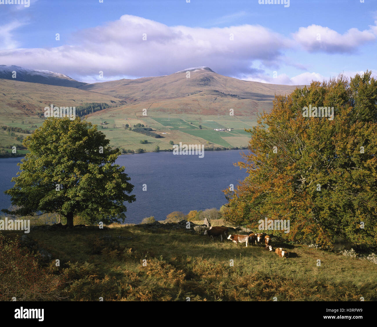 Great Britain, Scotland, Perthshire, hole Tay, mountain landscape ...