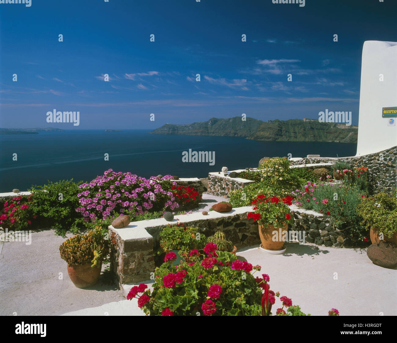 Of GR' Santorin, Thira, flower-decorated terrace, sea Stock Photo - Alamy