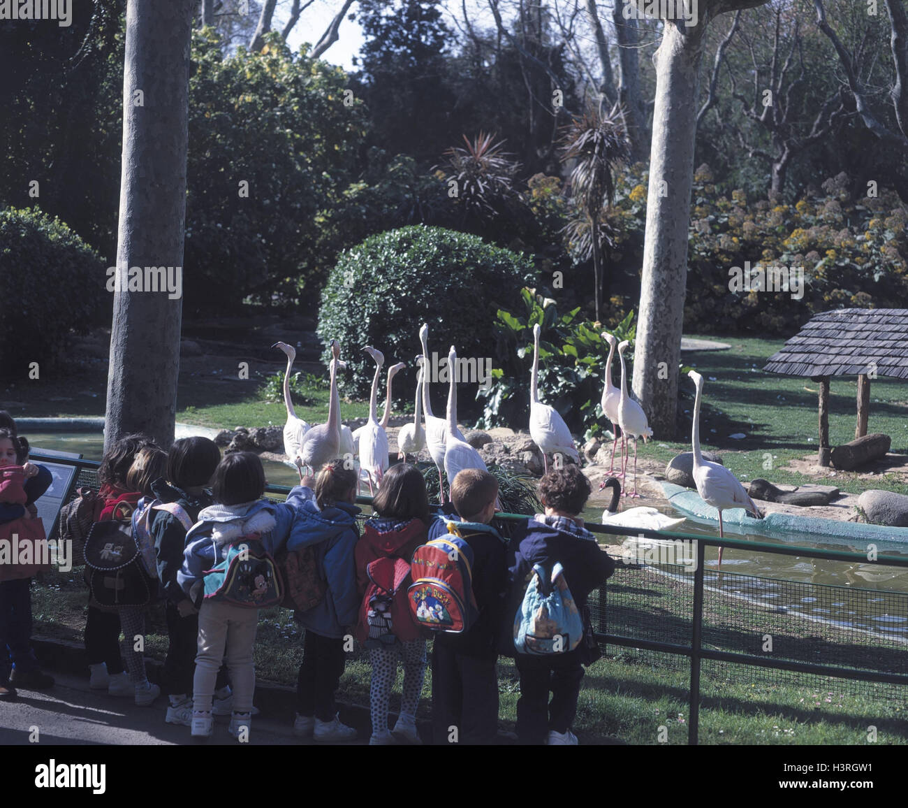 Zoo visit hi-res stock photography and images - Alamy