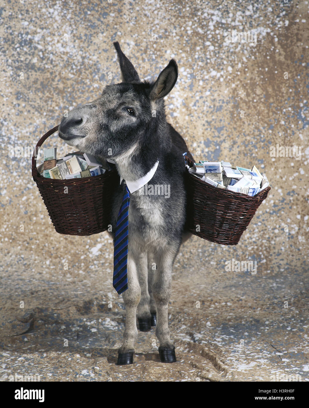 Donkey with baskets hi-res stock photography and images - Alamy