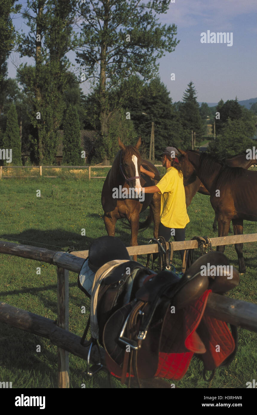 Col curry hi-res stock photography and images - Alamy