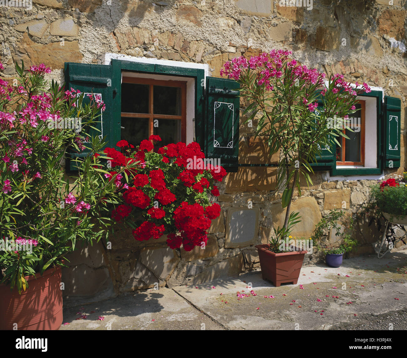 House, facade, flowers, windows, window box, geraniums, flowerpots ...