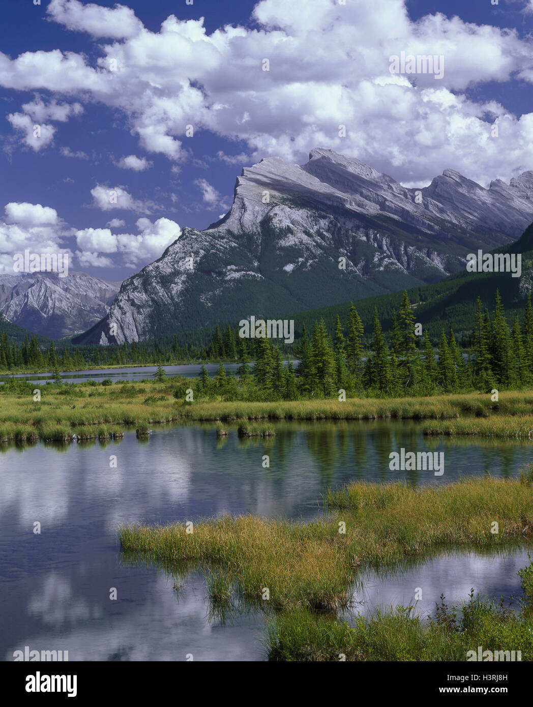 Canada, Alberta, Rocky Mountains, Banff national park, Vermillion brine ...