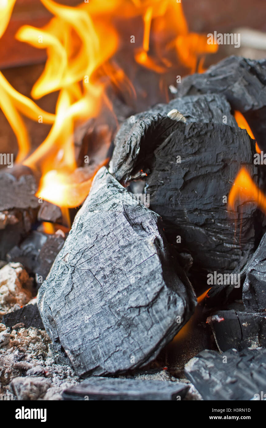 Coal and Fire. Burning Fire Bright Flames. Hot Charcoal Briquettes ...