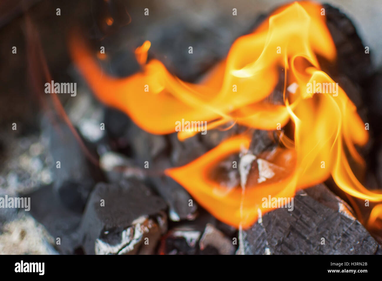 Coal and Fire. Burning Fire Bright Flames. Hot Charcoal Briquettes ...