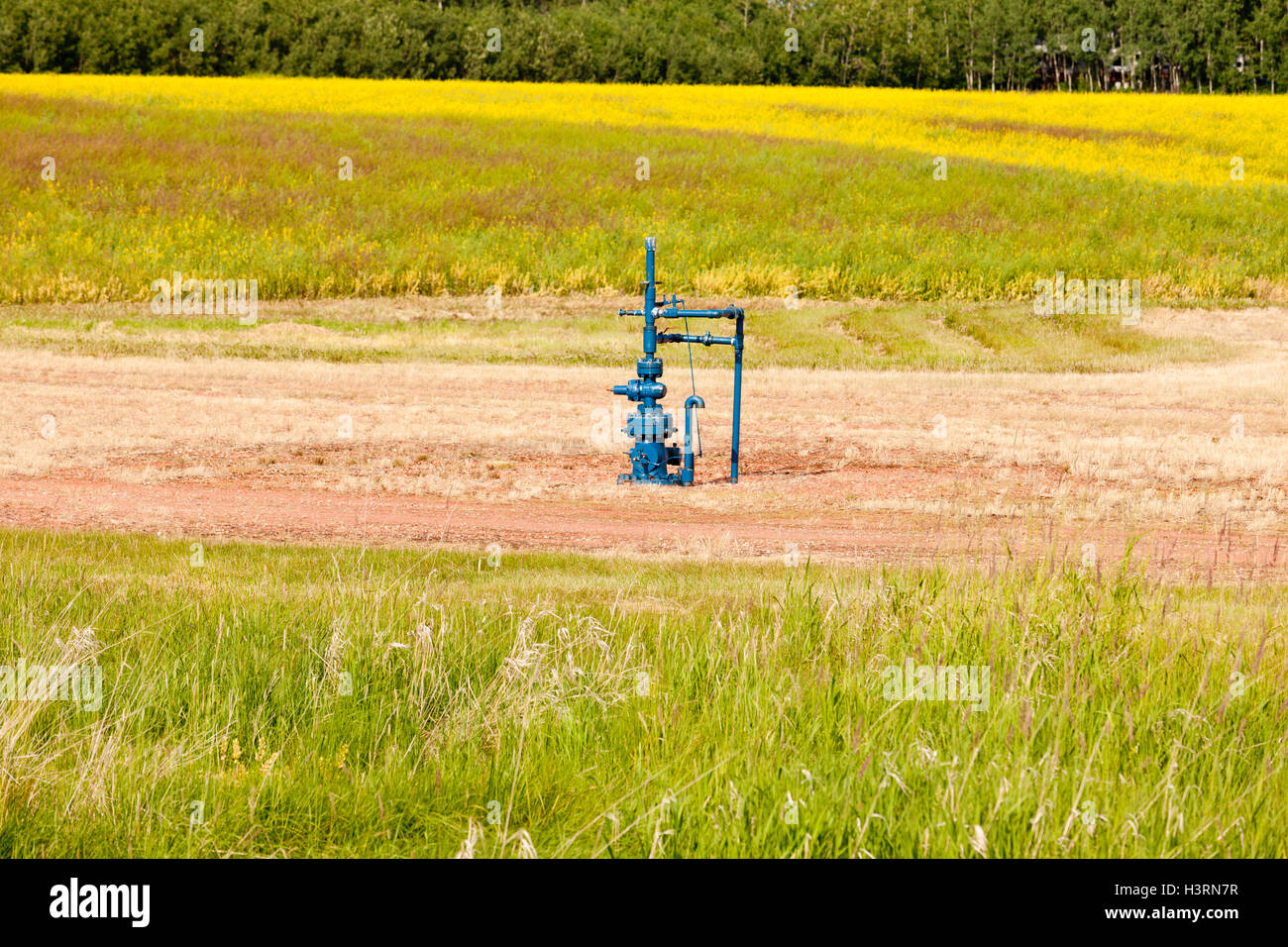 Natural gas wellhead Alberta Canada grassland Stock Photo - Alamy