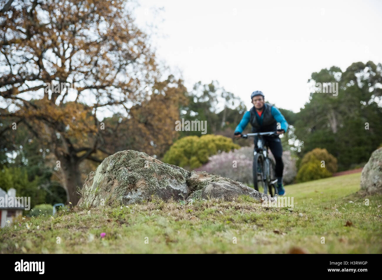 Male mountain biker riding bicycle in the forest Stock Photo - Alamy