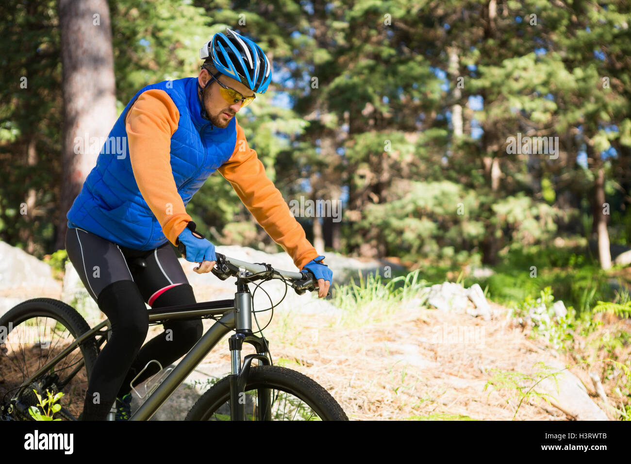 Male mountain biker riding bicycle in the forest Stock Photo - Alamy