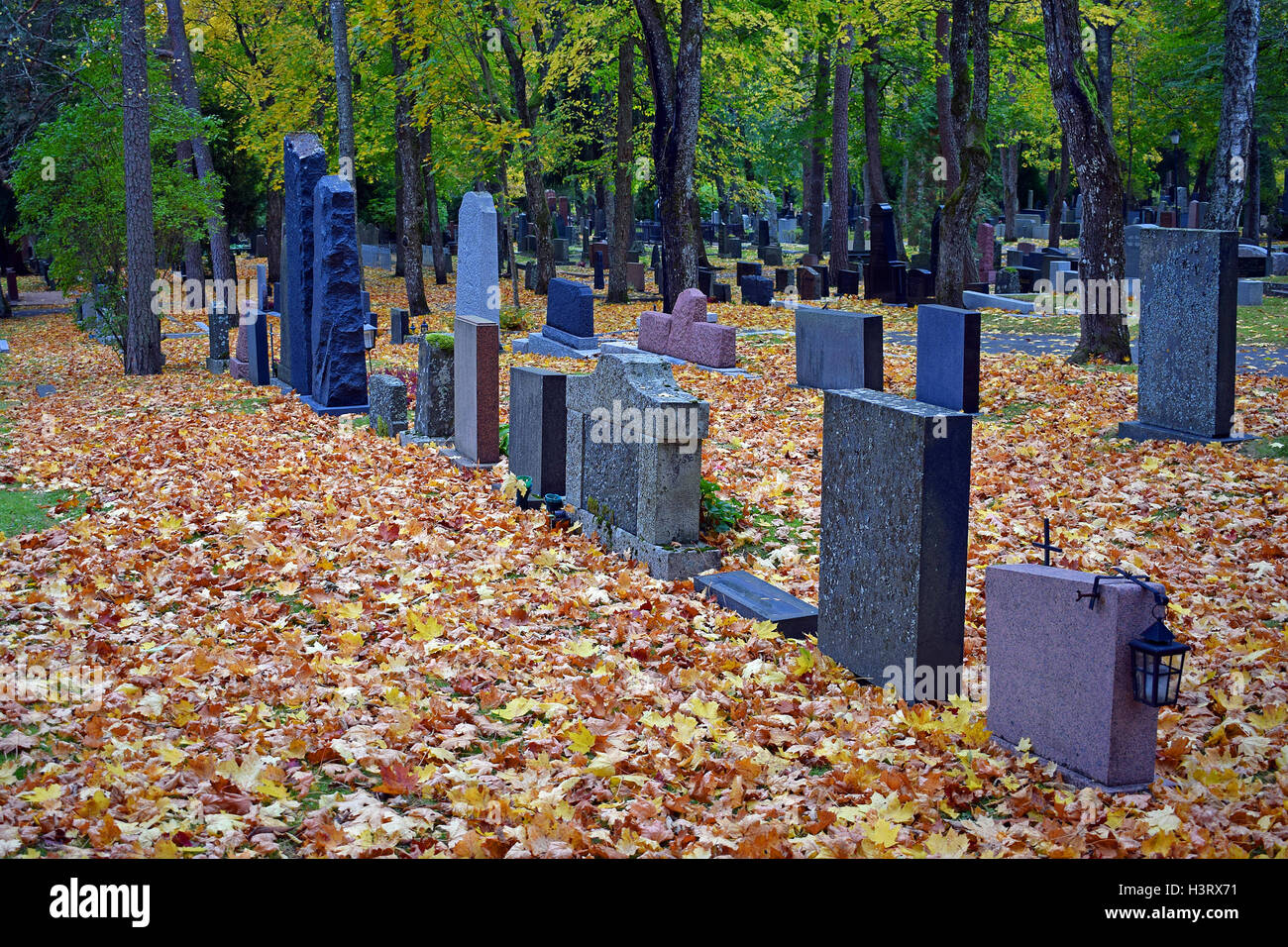 Tombstones on autumn cemetery. Colorful leaves on the ground Stock ...