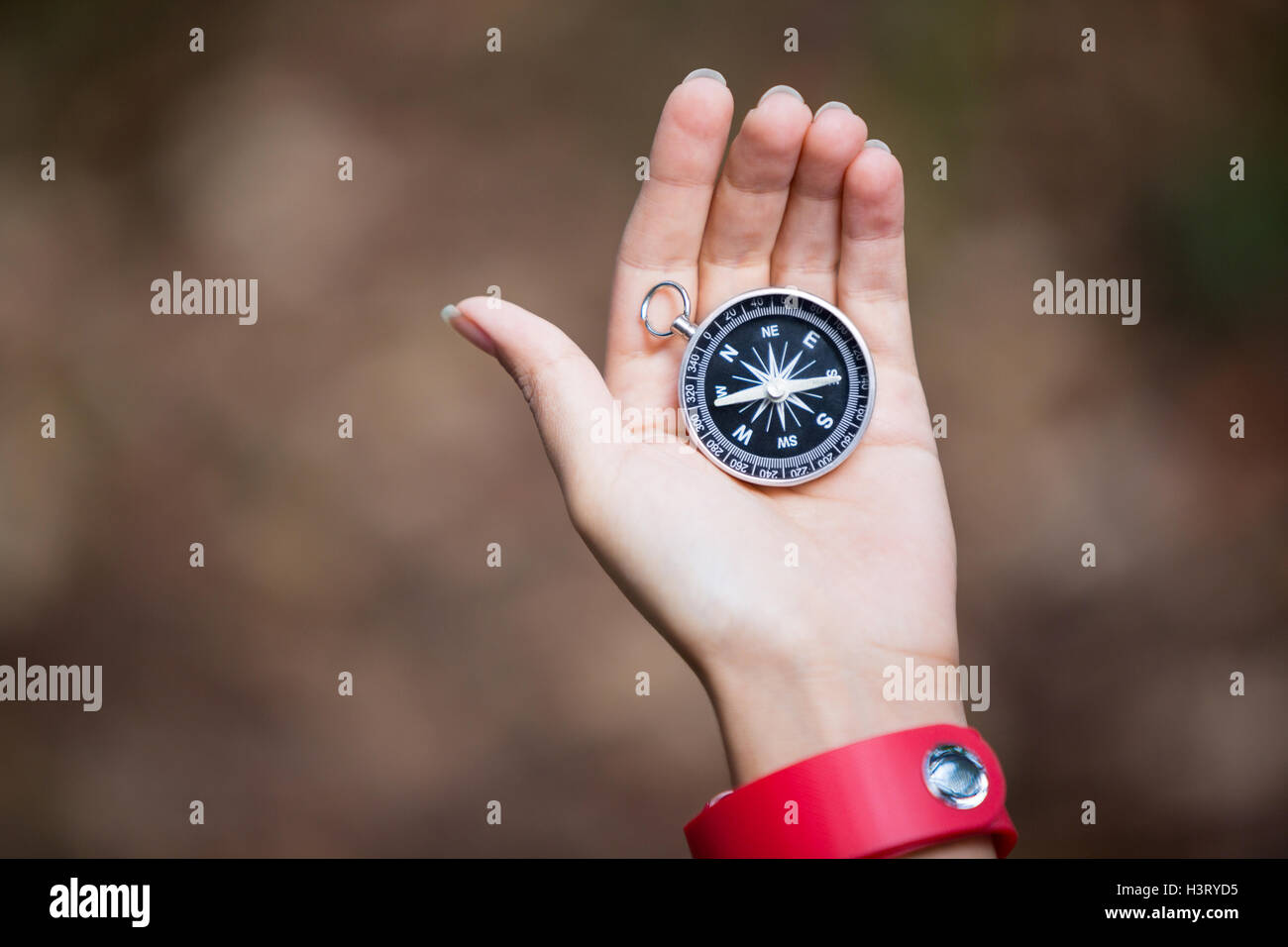 Hand holding compass in forest Stock Photo - Alamy
