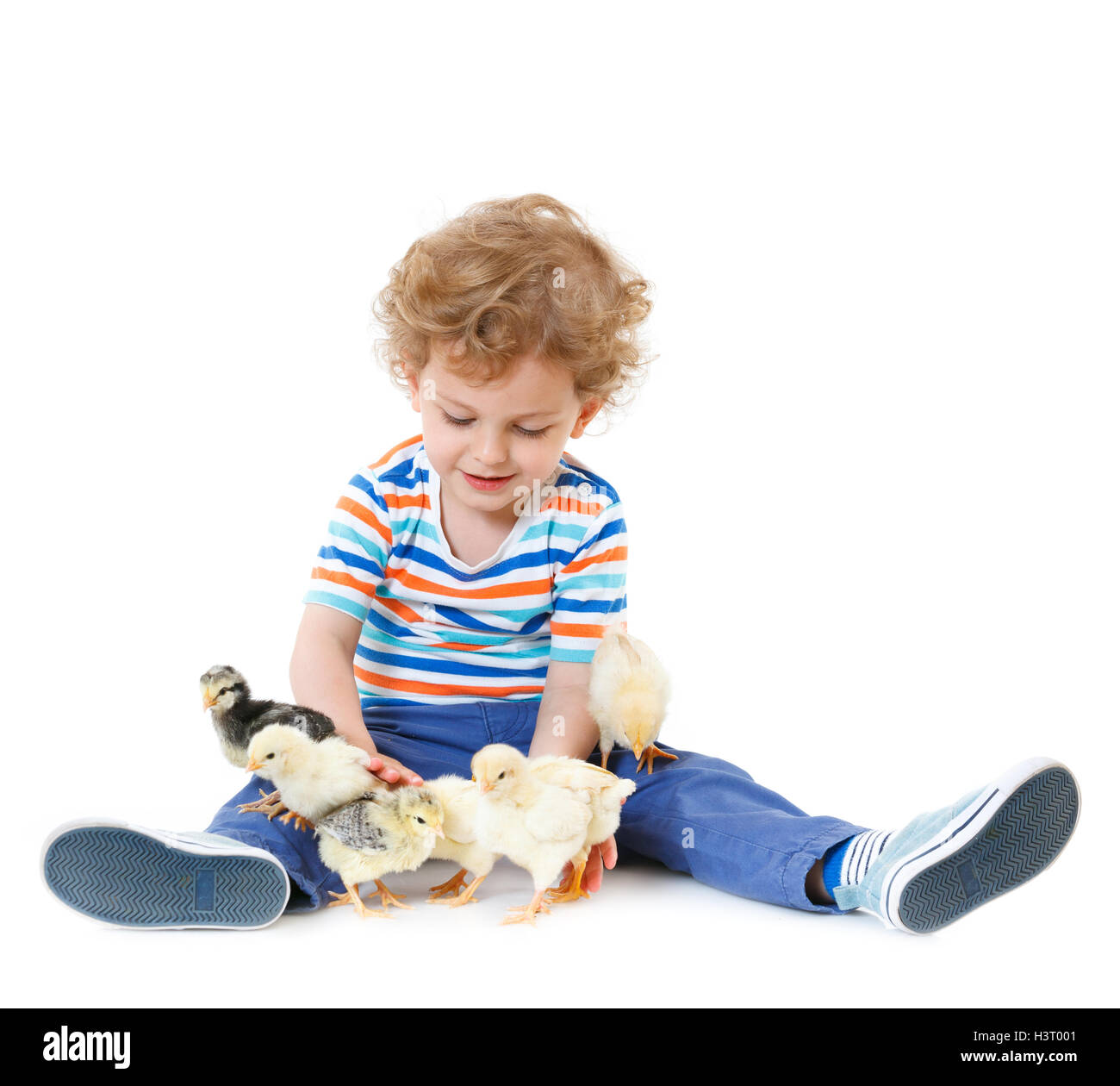 Boy with cute chickens Stock Photo - Alamy