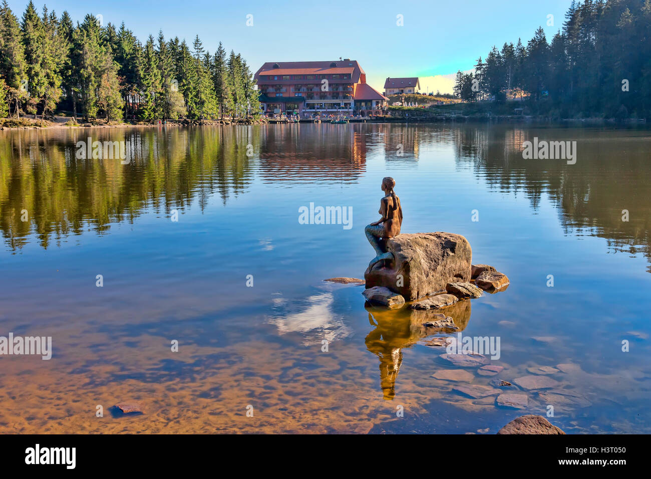 Nixen from Mummelsee on the Horisgrinde in the Black Forest of Southern ...