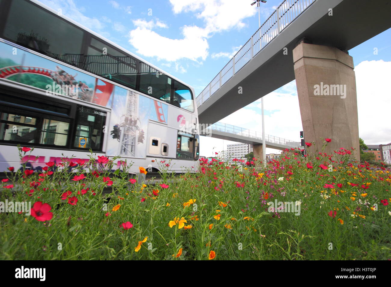 Yorkshire urban park landscape hi-res stock photography and images - Alamy