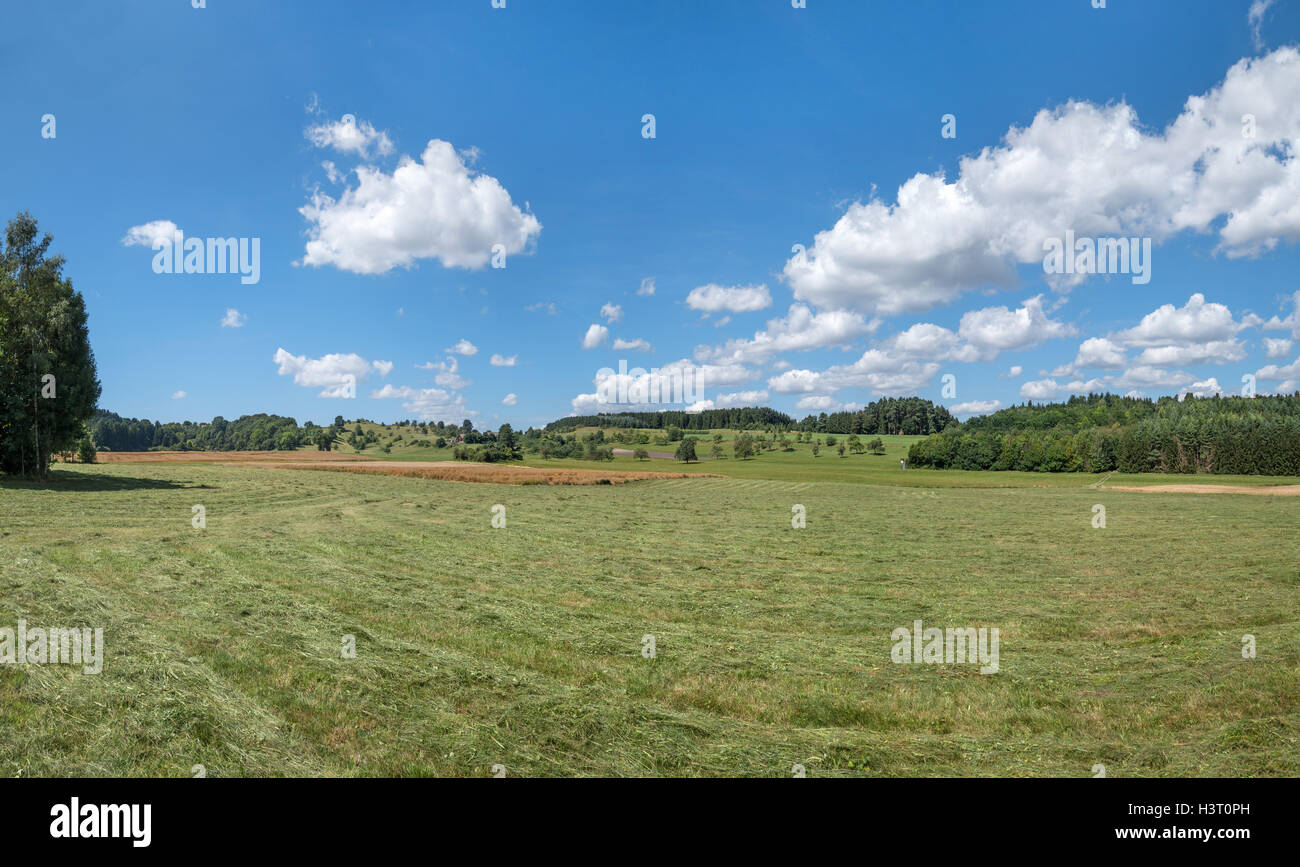 Meadow mowed hi-res stock photography and images - Alamy