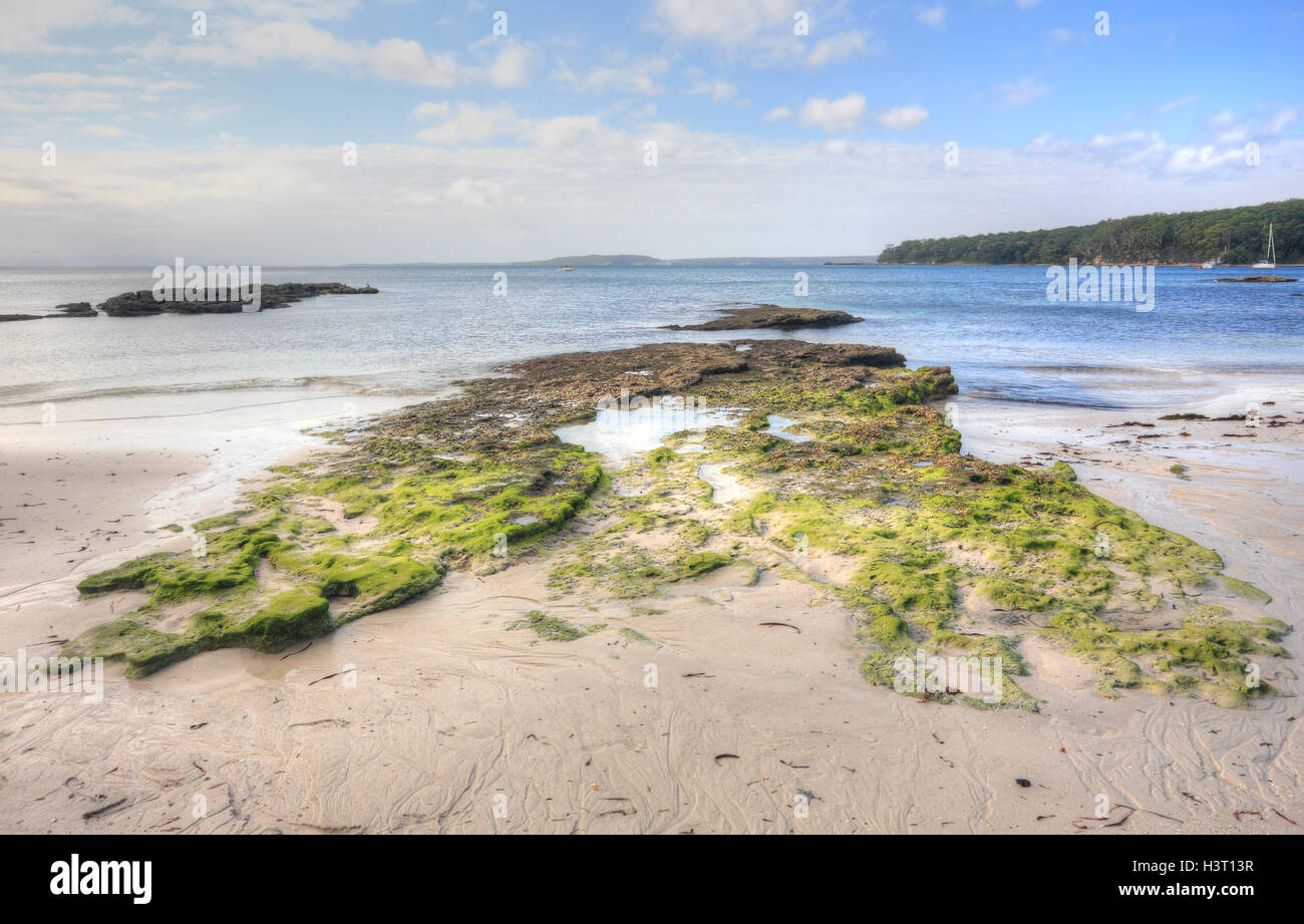 Moss covered rocks and rock pools Stock Photo - Alamy