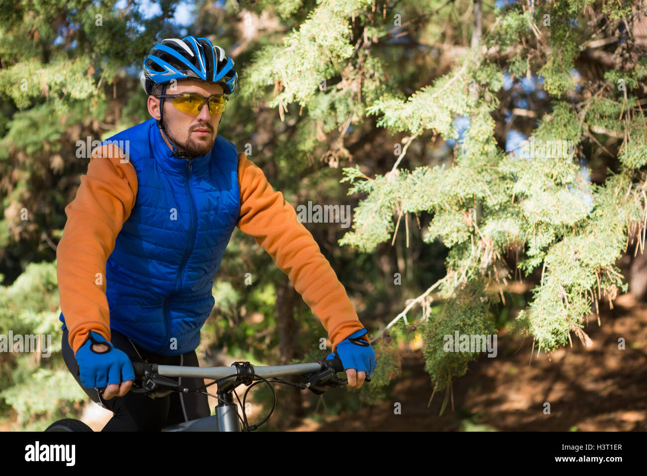Male mountain biker riding bicycle in the forest Stock Photo - Alamy