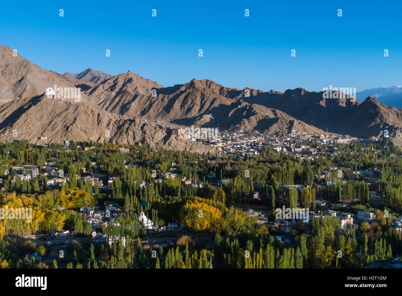Leh city view. Leh Ladakh, India Stock Photo - Alamy