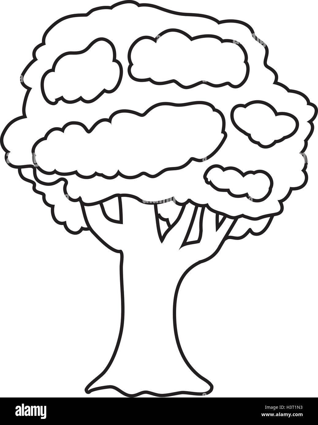 Yellow foliage on tree branches Black and White Stock Photos & Images ...