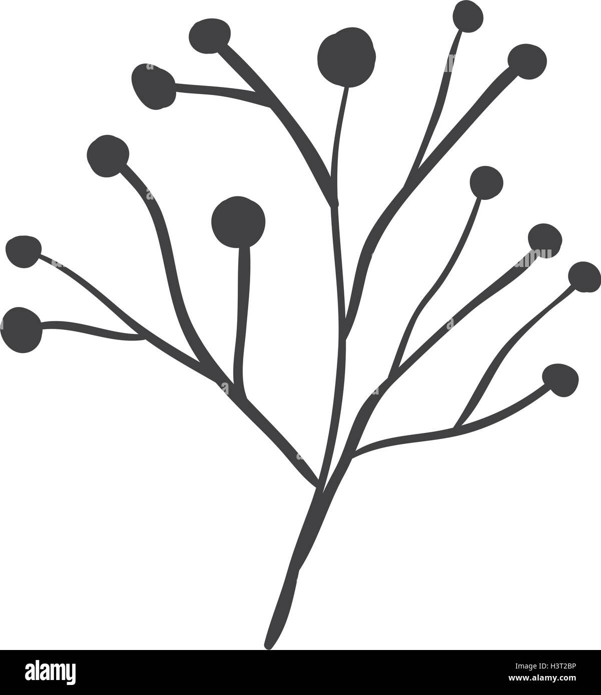 ramifications tree with stem and branches Stock Vector Image & Art - Alamy