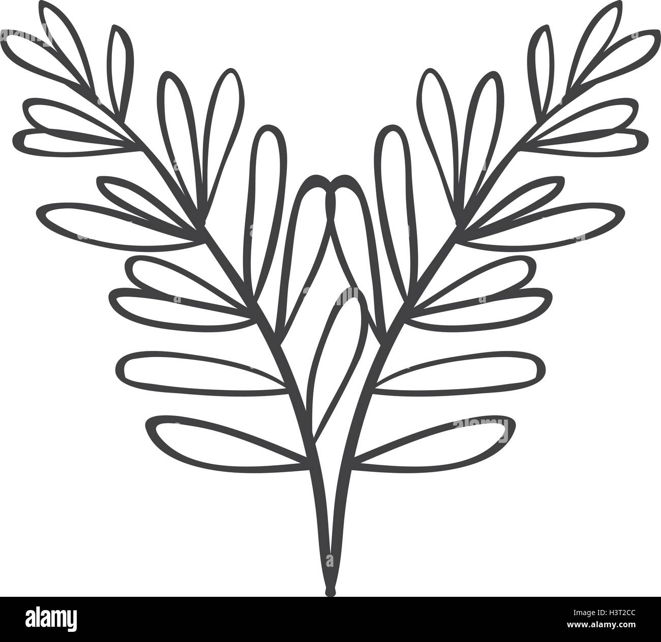 pair of branches with oval leaves Stock Vector Image & Art - Alamy