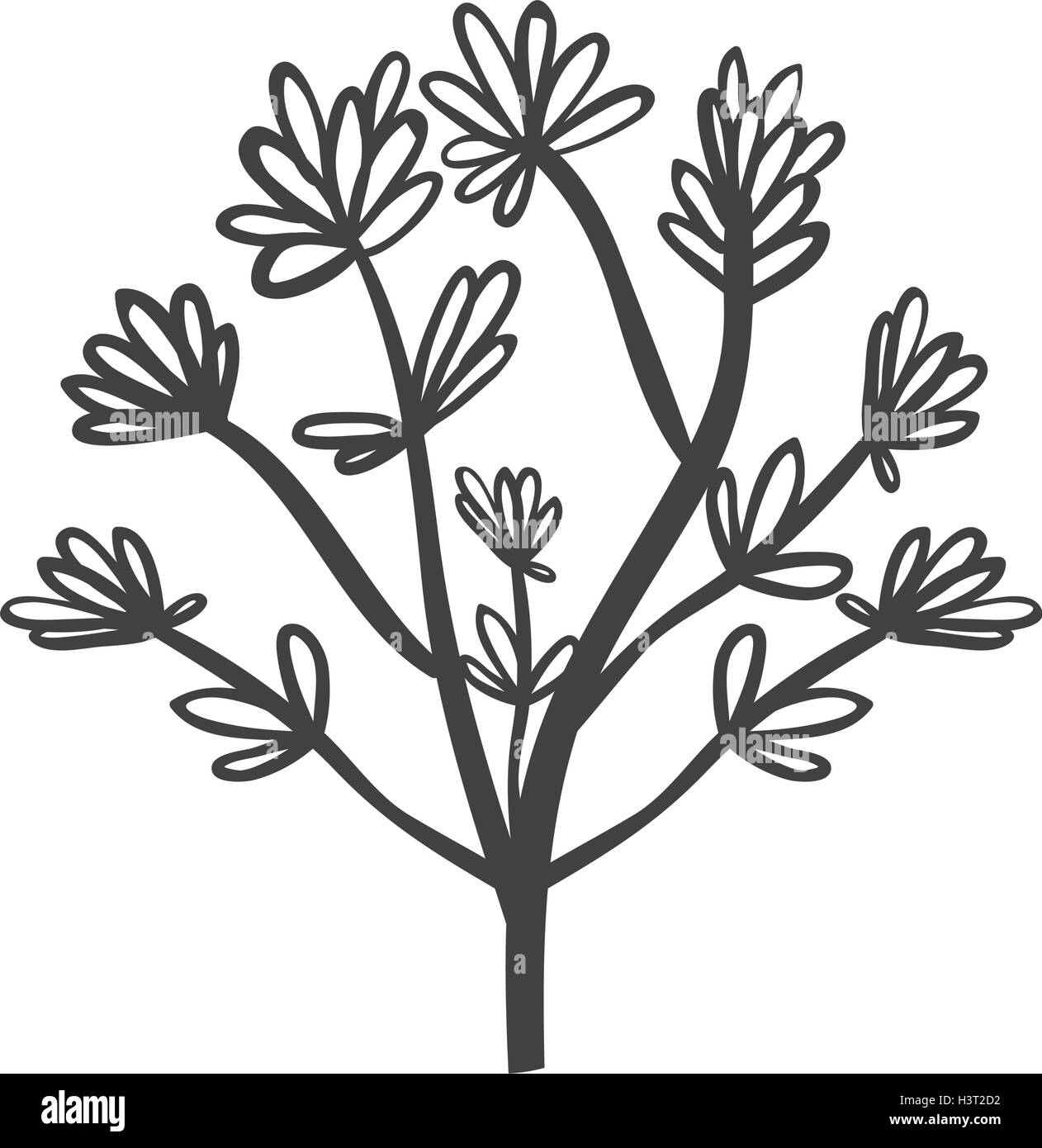 plant with ramifications and flowers Stock Vector Image & Art - Alamy
