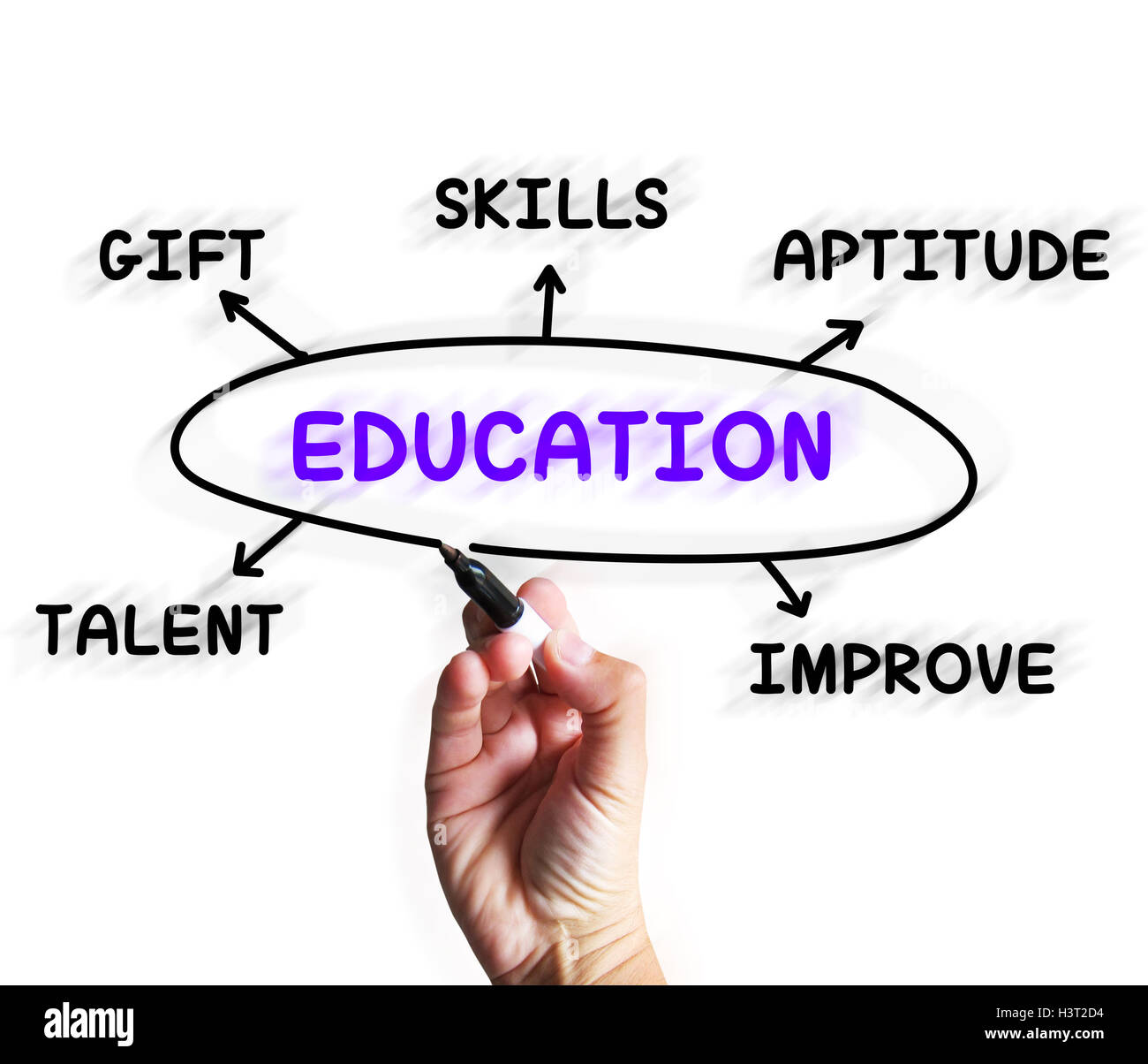 Education Diagram Displays Aptitude Knowledge And Improving Stock Photo ...