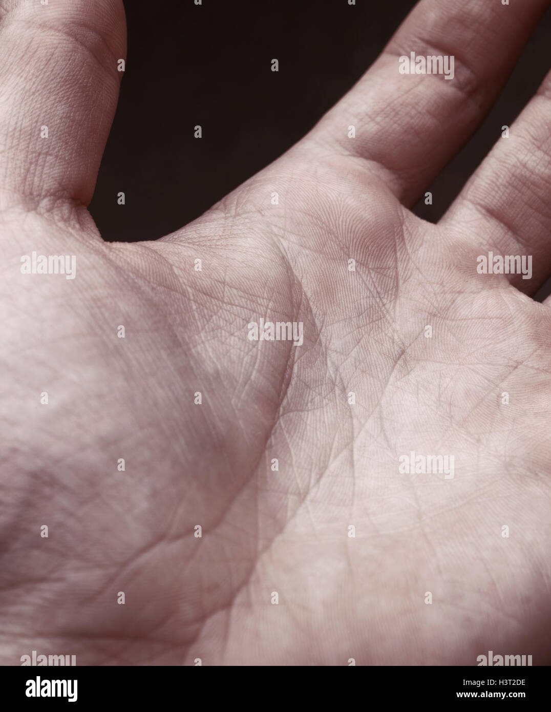 Human hand male palm hi-res stock photography and images - Alamy