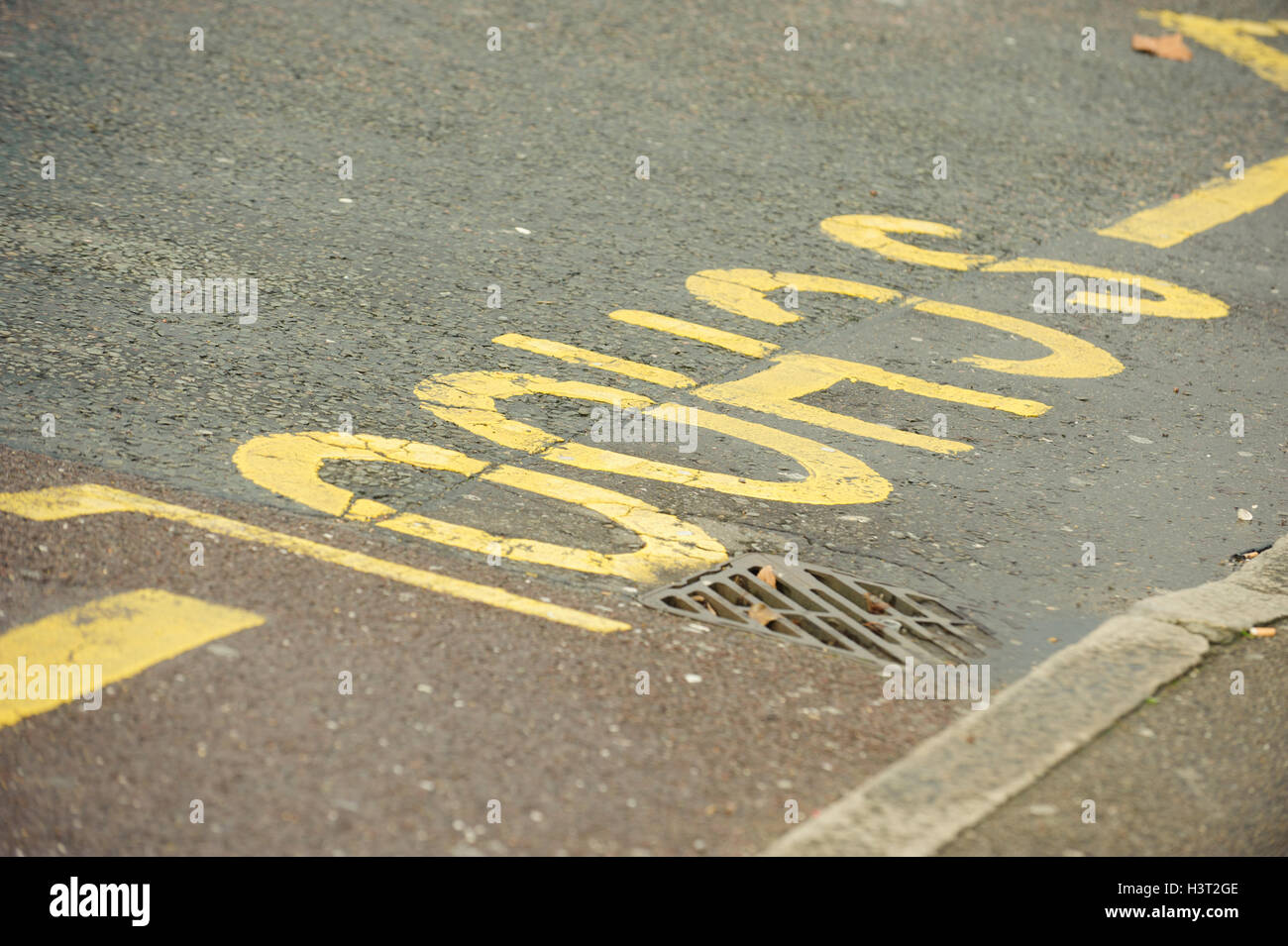 road markings outside school Stock Photo - Alamy
