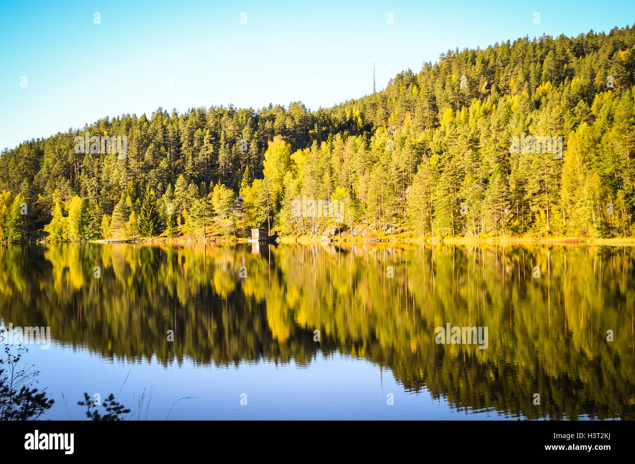 reflection of morning autumn landscape in fjord Stock Photo - Alamy