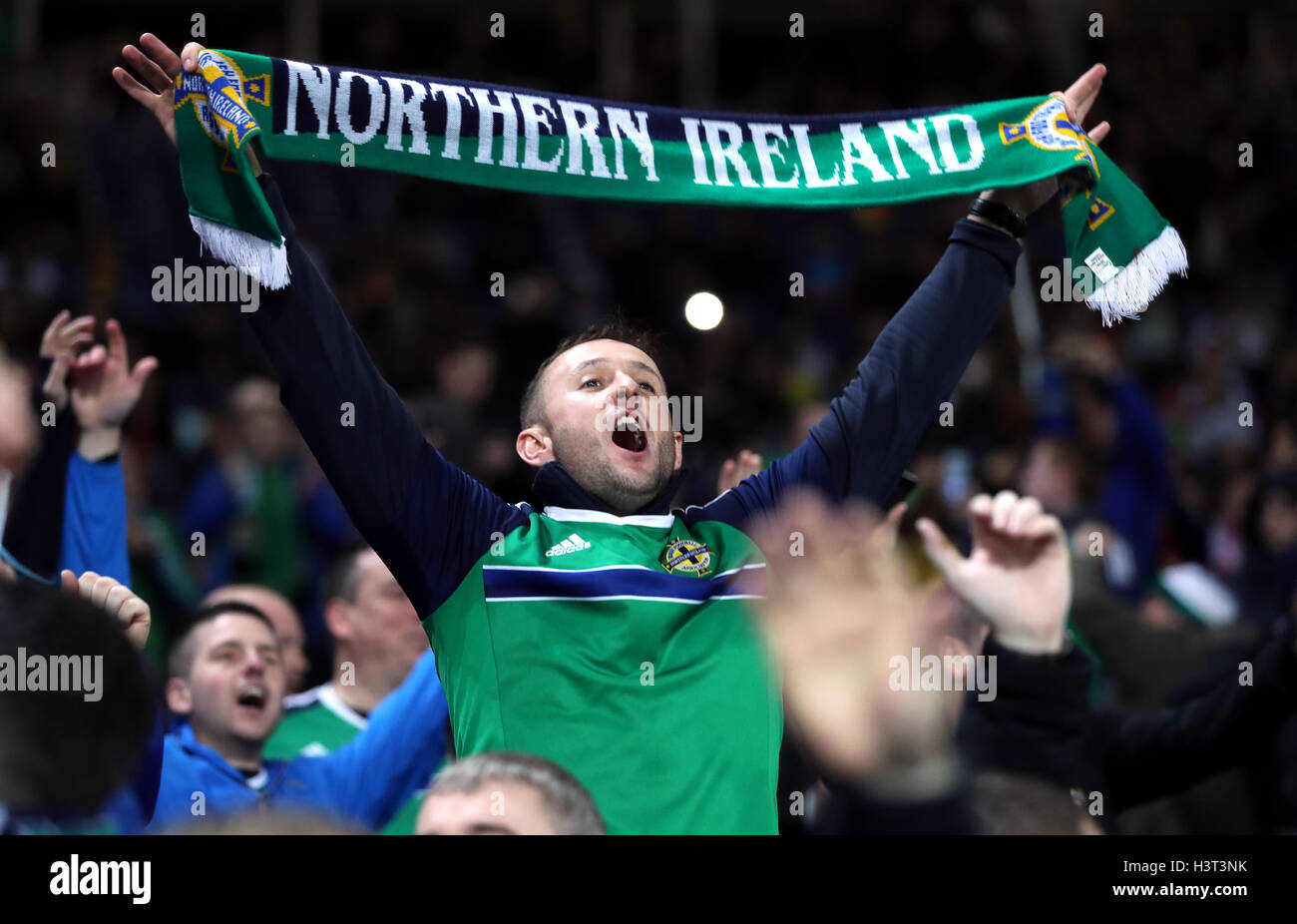 Northern Ireland fans in the stands during the 2018 FIFA World Cup ...