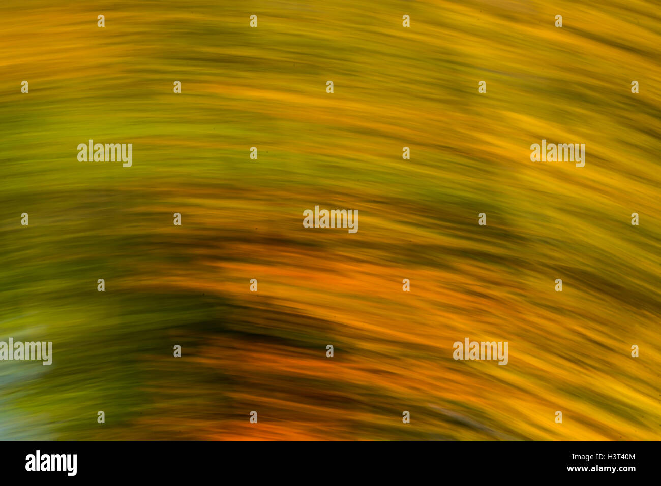 blurred motion fall colors background Stock Photo - Alamy