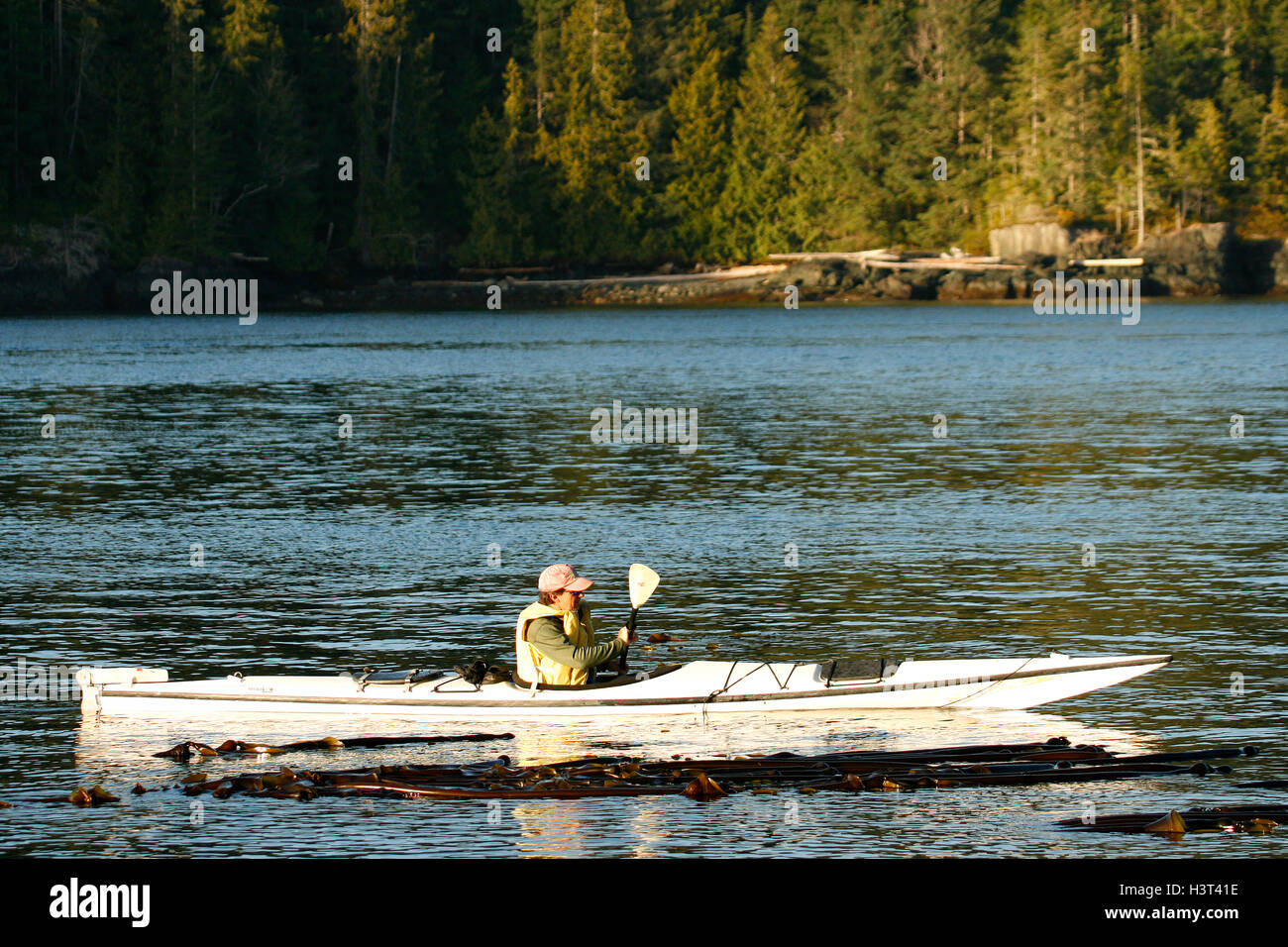 Canada vancouver island kayaking hi-res stock photography and images ...