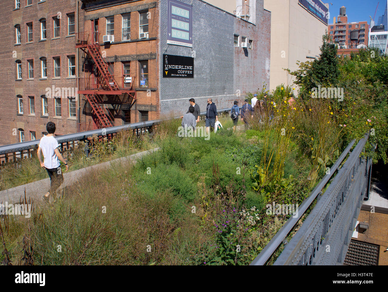 Walking the High Line in Chelsea area of lower Manhattan Stock Photo ...